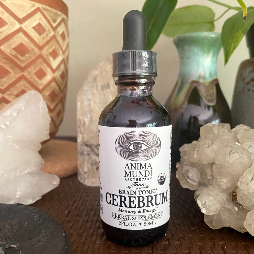 Cerebrum Tonic | Memory & Energy Herbal Elixir | Curious Muse Crystals